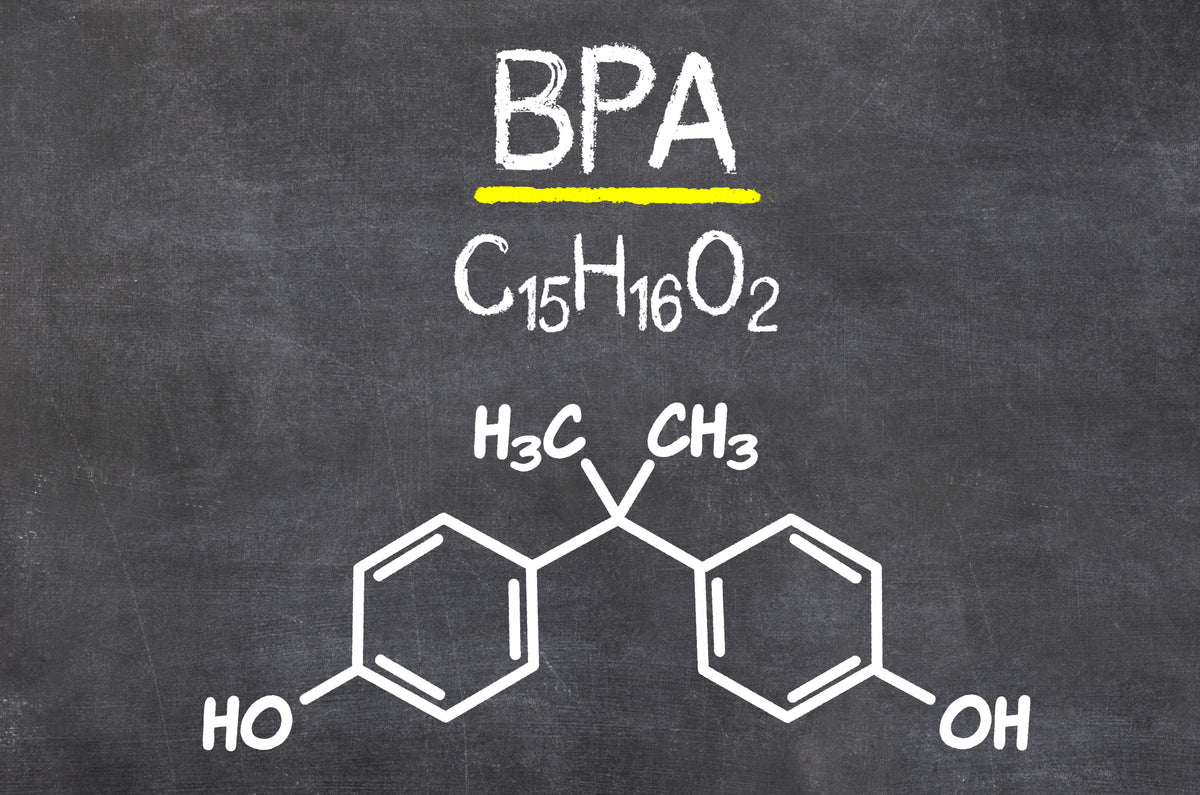 shutterstock_221743456._1200x1200.jpg?v=1668598640