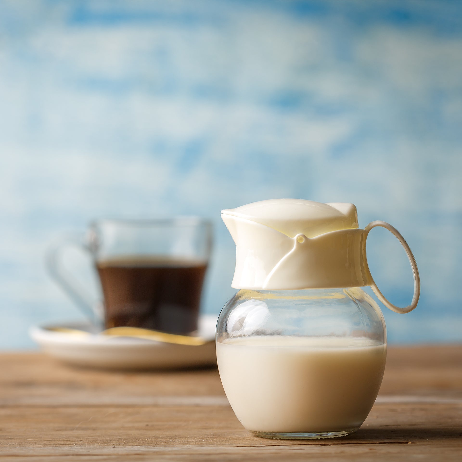 home petite creamer pitcher set of 2